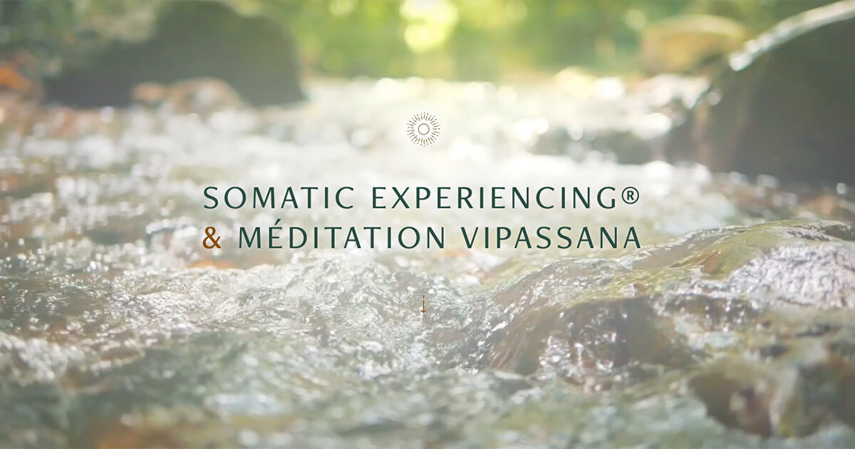 Nicolas Derungs - Somatic Experiencing | Méditation Vipassana